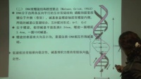 生物化学—核酸的结构和功能