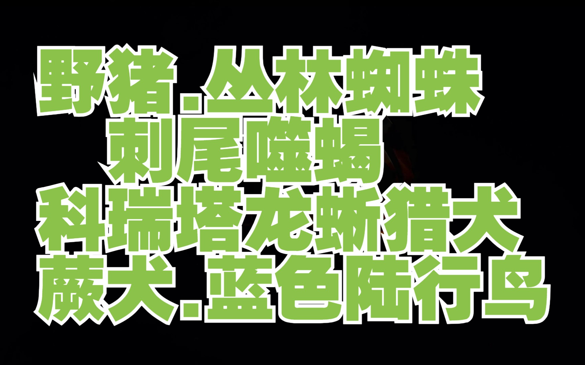 激战2金昆【游侠宠物】幼年野猪.丛林蜘蛛.刺尾噬蝎.科瑞塔龙蜥猎犬....