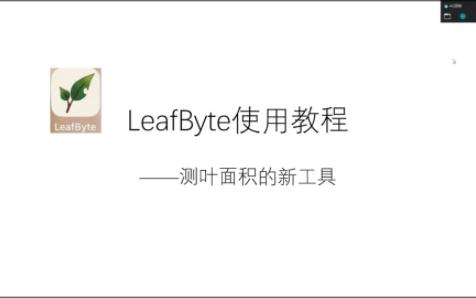 用LeafByte如何快速计算叶面积?