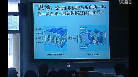 细胞膜流动镶嵌模型(罗玲 江苏泗洪中学)2011年江苏省高中生物优质课...