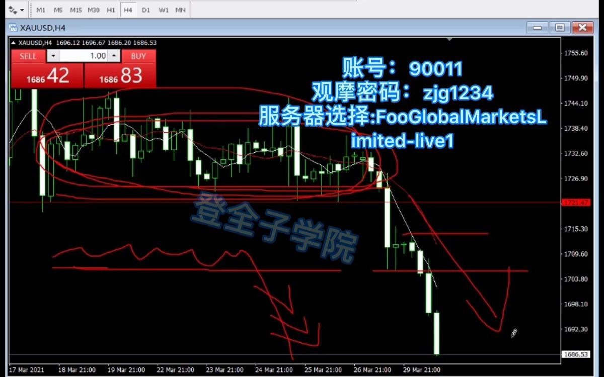外汇交易:实盘操作解析