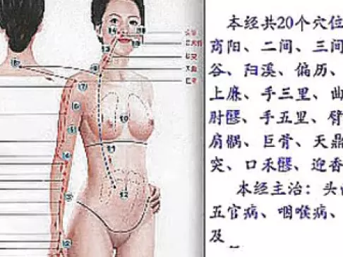 二、手阳明大肠经_标清