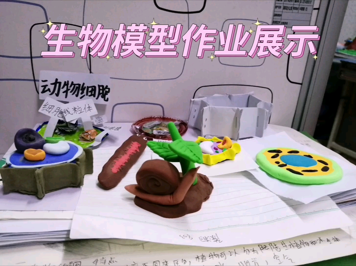 初中生物模型制作～学生作品棒棒哒!