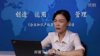企业知识产权管理体系——文件编写