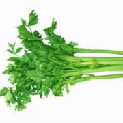 宋润芹 