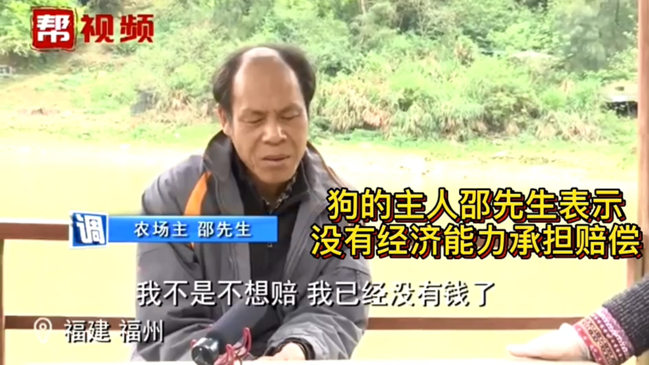 揪心!女童郊游被狗咬成重伤,狗主人却以经济困难为由推脱赔偿
