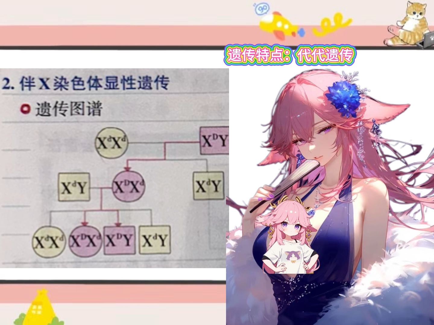 学会这三种伴性遗传,让你考试加12分