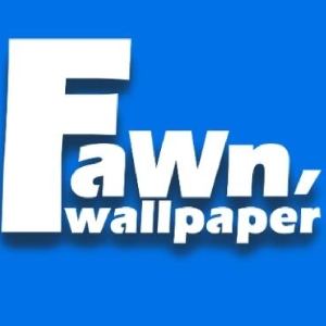 Wallpaper壁纸图库 