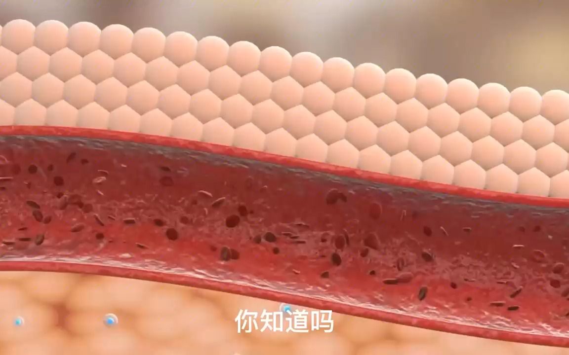 干细胞究竟是怎样修复人体受损器官组织的?