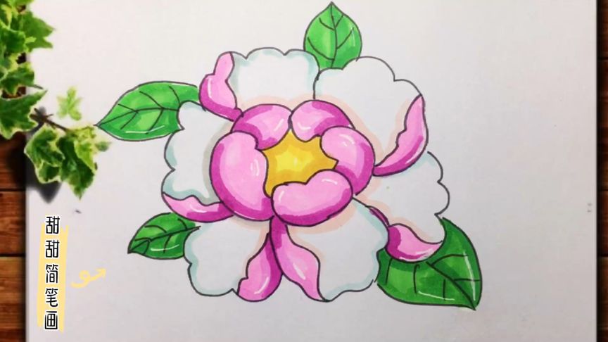 儿童花卉美术简笔画,牡丹系列绘画过程,简单易学