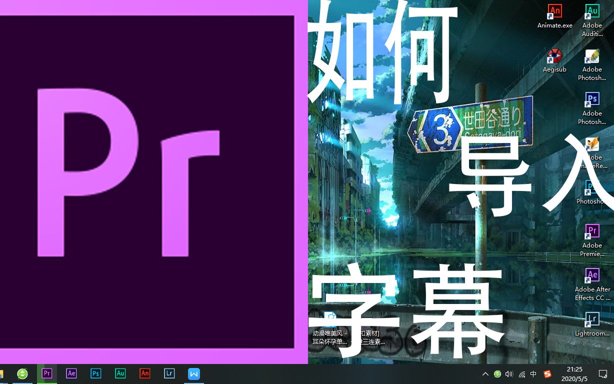 Pr导入字幕(小经验分享)