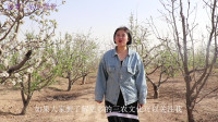 为什么有的朋友种的苹果树只开花不结果?