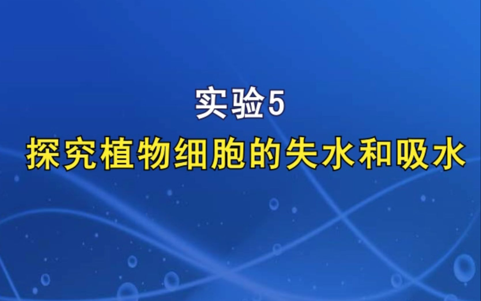 【高中生物实验】实验5探究植物细胞的失水和吸水