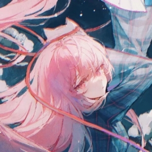 韶枫XHY 