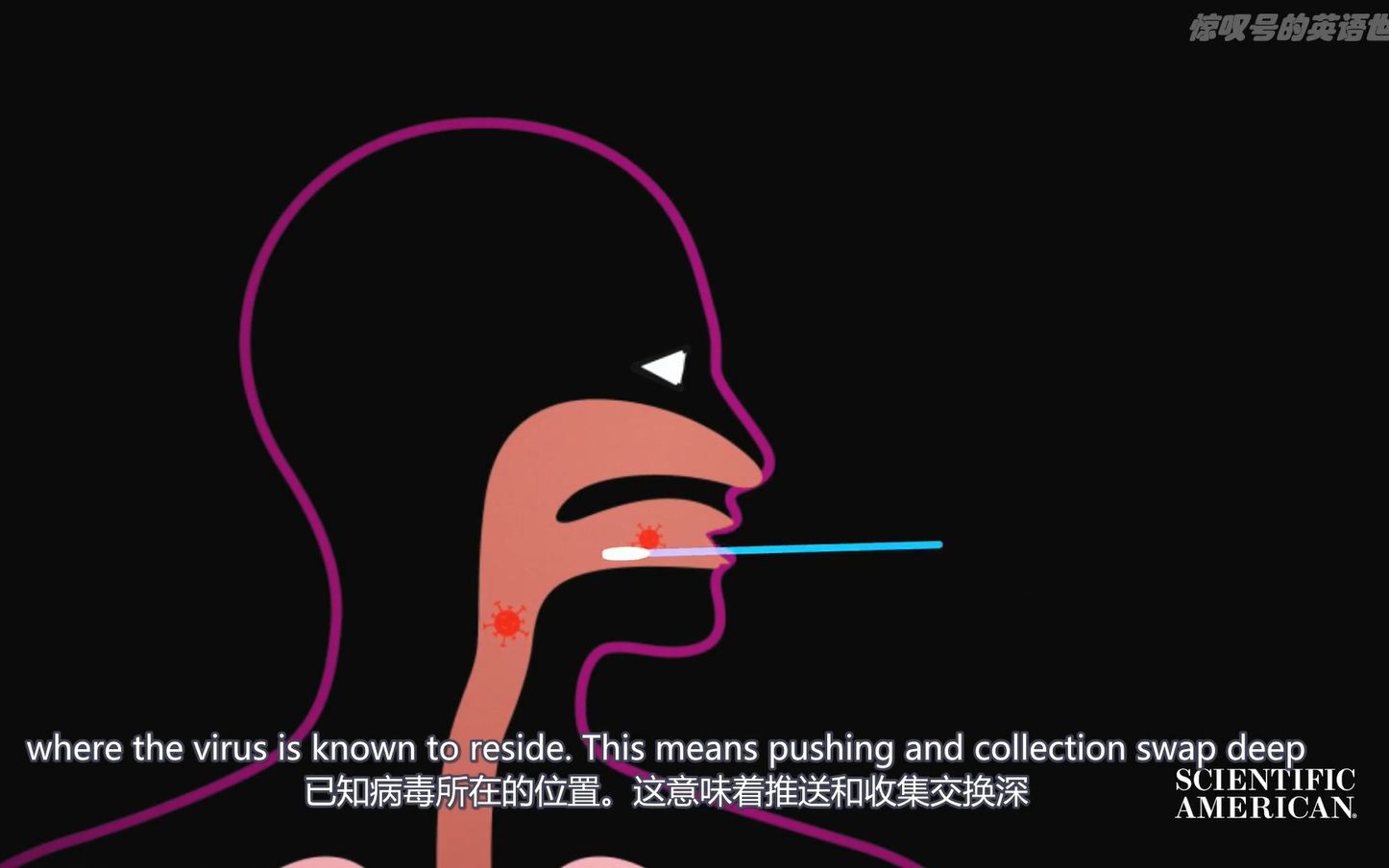 独家 | 新冠检测的科学原理♪Heres how the tests for COVID-19 actually ...
