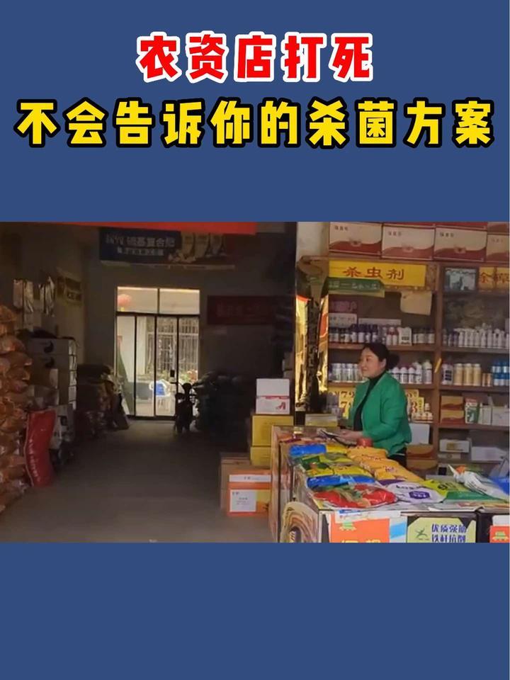 农资店打死不会告诉你的杀菌方案#新农人计划2023 #杀菌剂 #果树管理