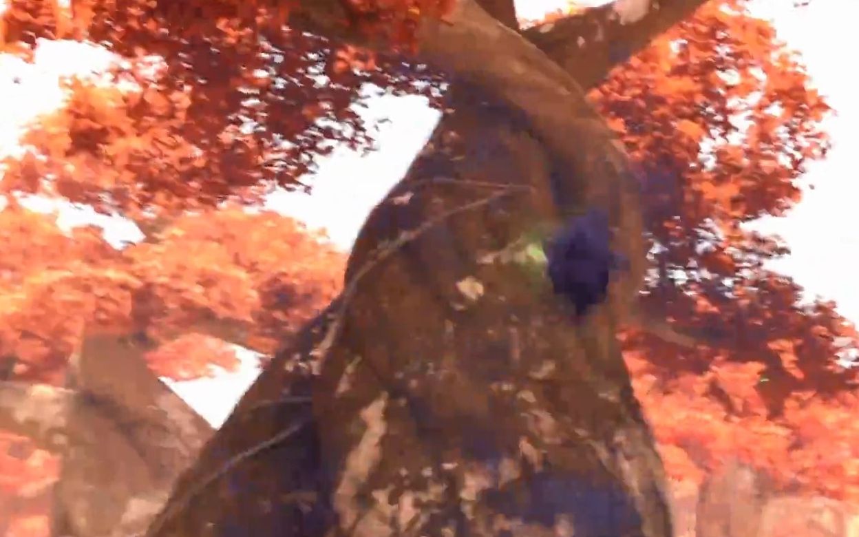 (全流程)SpeedTree制作造型树【持续更新】