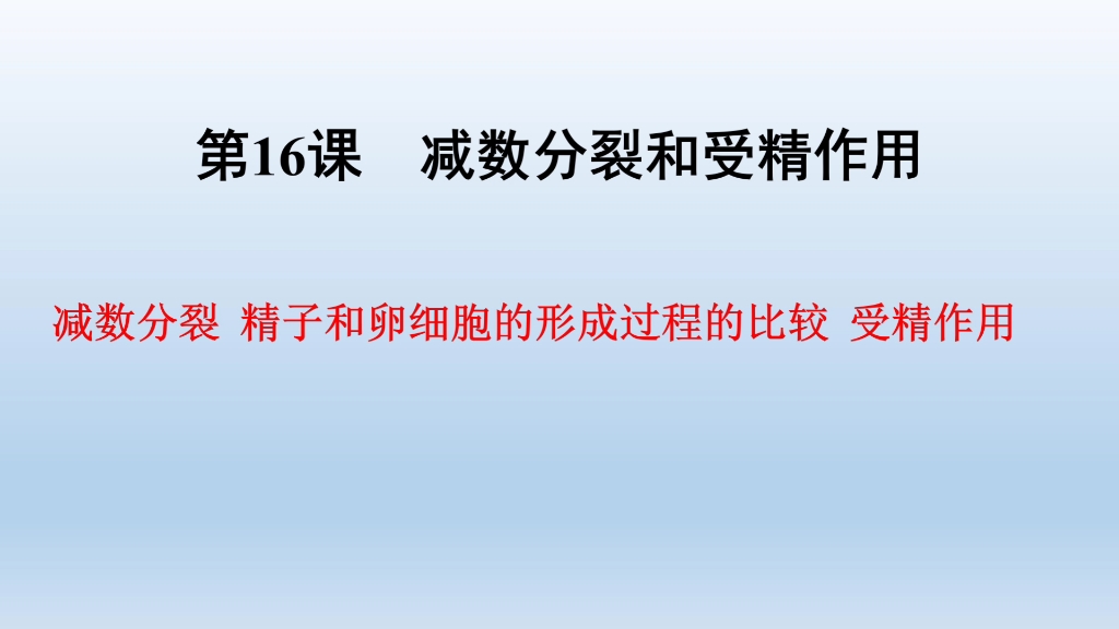 减数分裂和受精作用知识梳理