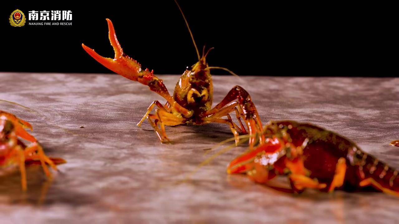 【全民消防生命至上】消防设施勤检勤查,确保完整好用#119消防宣传月