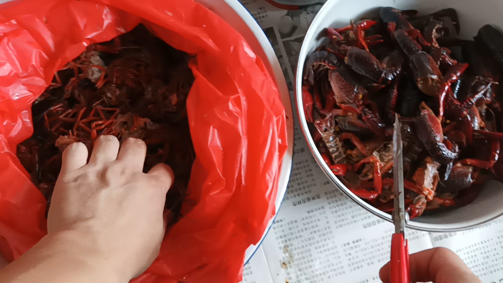 一分钟速学快速剪净小龙虾(看了七八个视频和自己上手刚研究的)