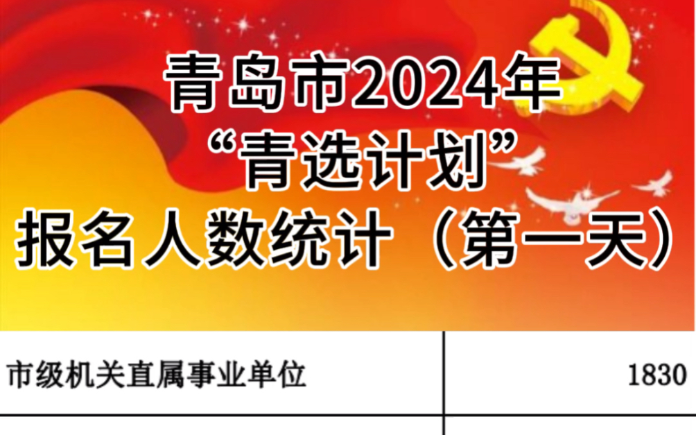 青岛市2024年“青选计划”报名人数统计