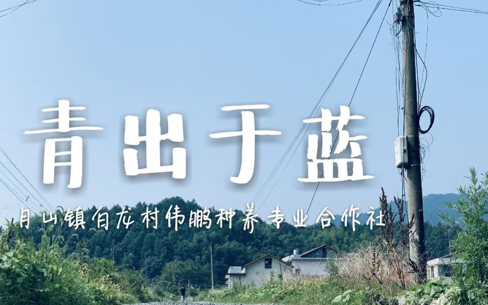 青春·三下乡| 湖南警察学院管理系青出于蓝团队活动资料视频