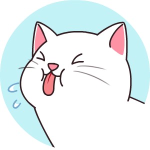 香皂喜欢猫 