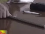 中国档案侦破记实录 09