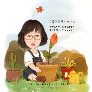 杜小肚的日常碎片 