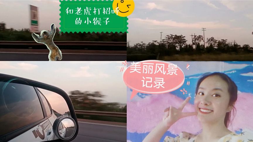 旅行日记|古代文化与现代动物园完美碰撞,小猴子与老虎相识恨晚