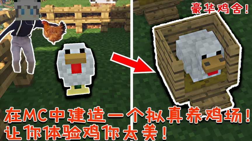 我的世界模组三十七:建造一个真实养鸡场!让你体验鸡你太美!