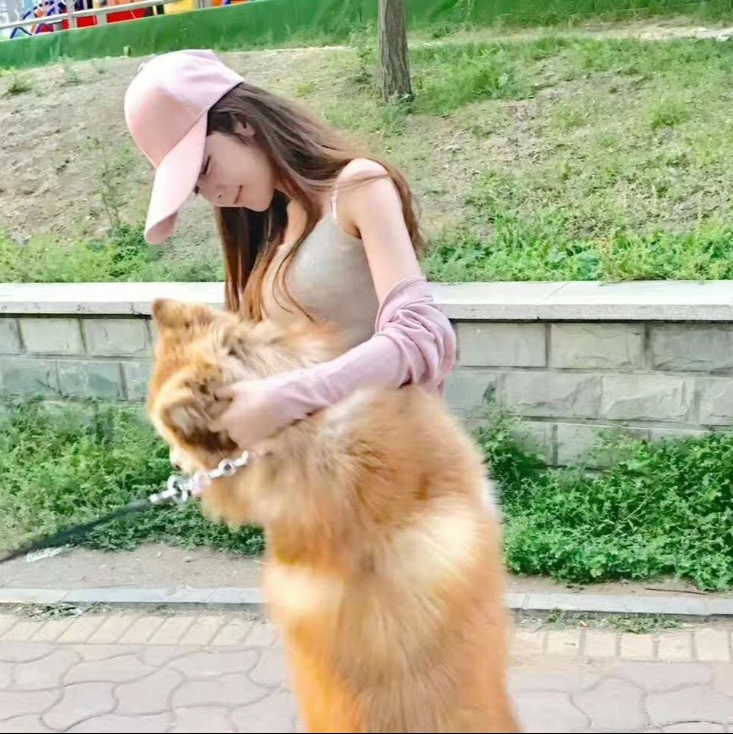 Sunny是只皮卡丘 