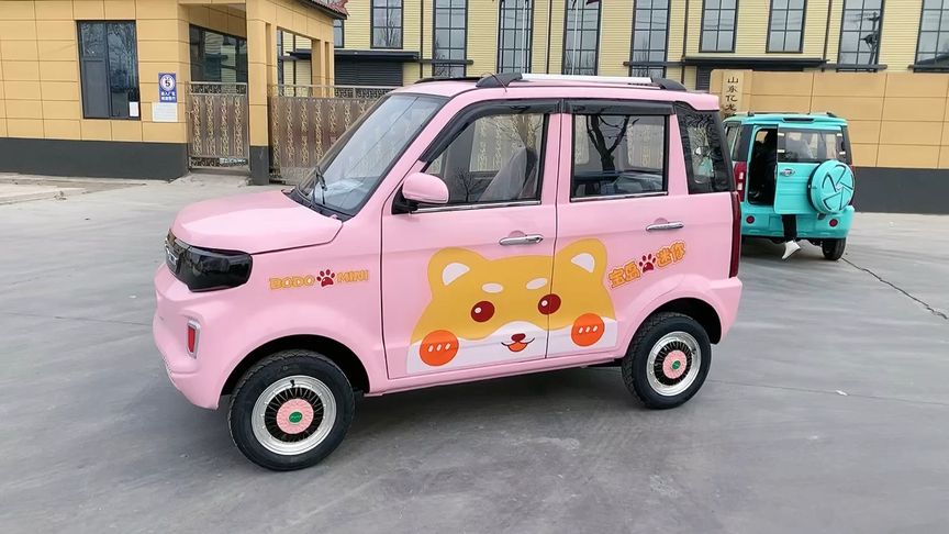 嫂子的新车 宝岛迷你电动四轮代步车 也想拥有一个自己的小车