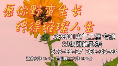 085801电气工程 23调剂新数据