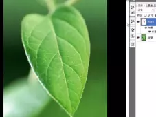 PS水珠效果制作