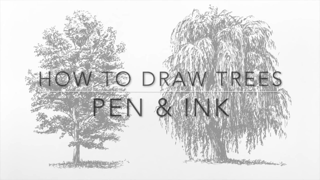 How to Draw Trees with Pen and Ink - YouTube 怎样使用针管笔画树 超...
