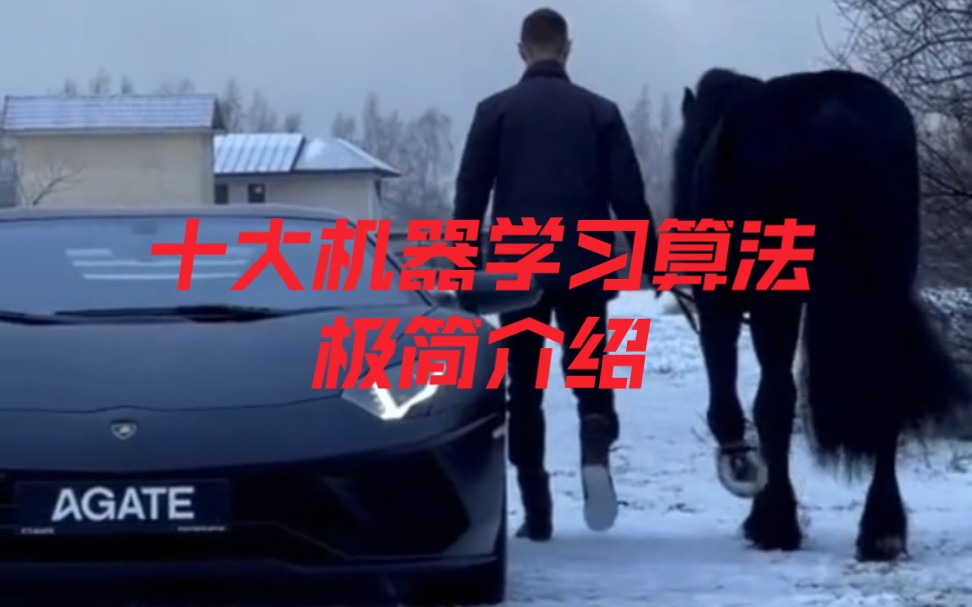 十大机器学习算法极简介绍