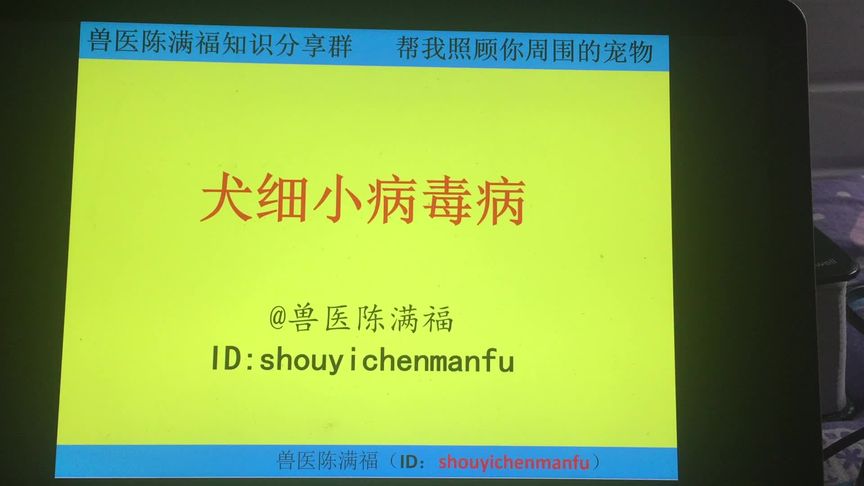 犬细小病毒病。兽医陈满福告诉你不知道的知识。