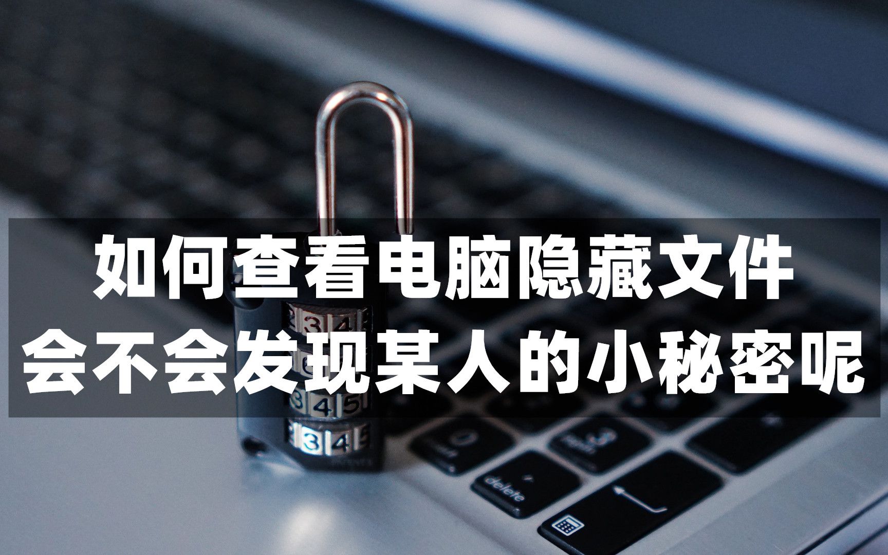 学会怎么查看电脑的隐藏文件,一不小心就发现了某人的小秘密哦