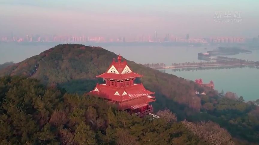 张伯礼:中医抗“疫”担当