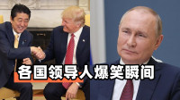 安倍与特朗普握手色变,普京看日本摔跤发笑