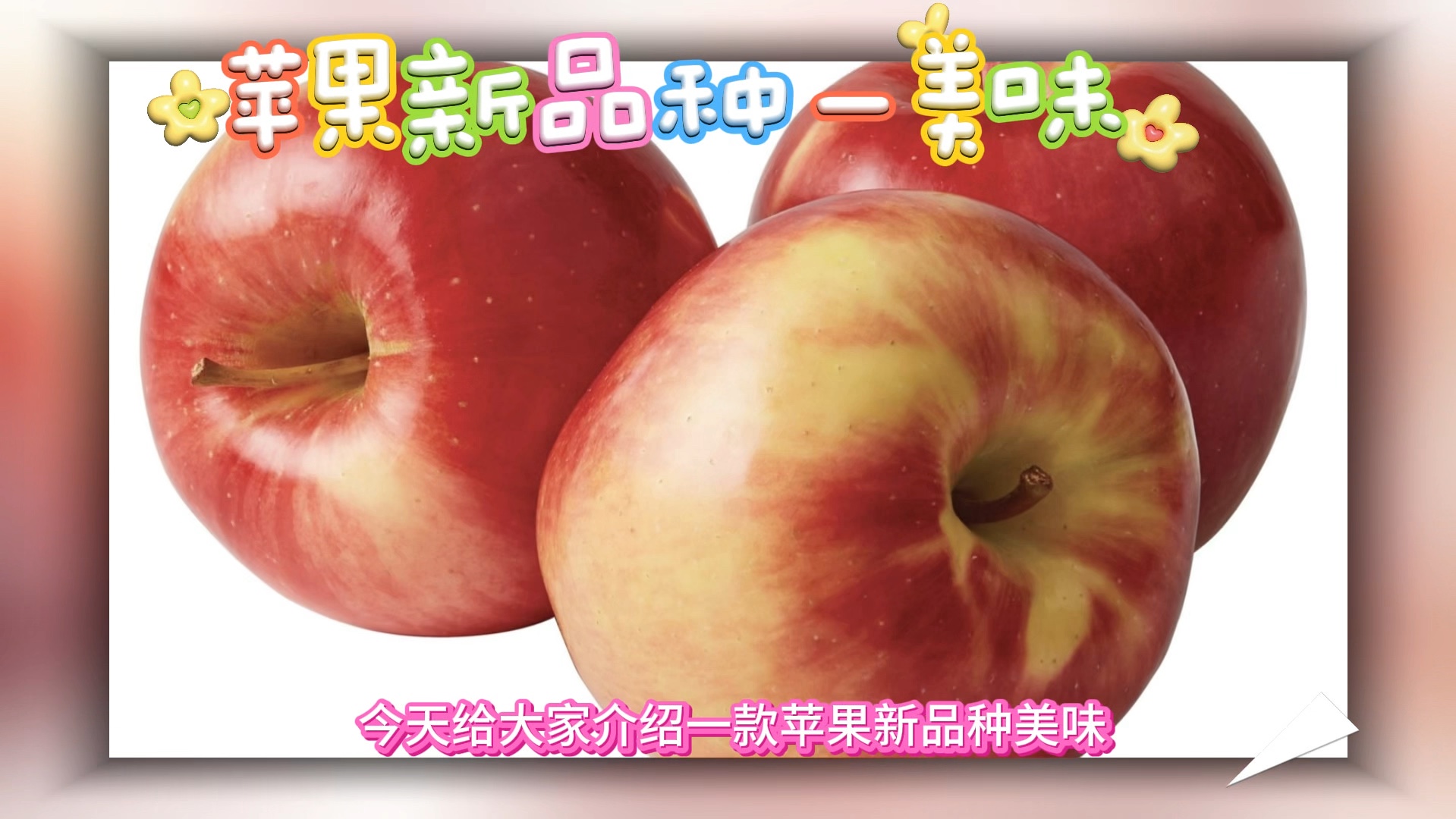 一种高糖低酸的苹果新品种—美味