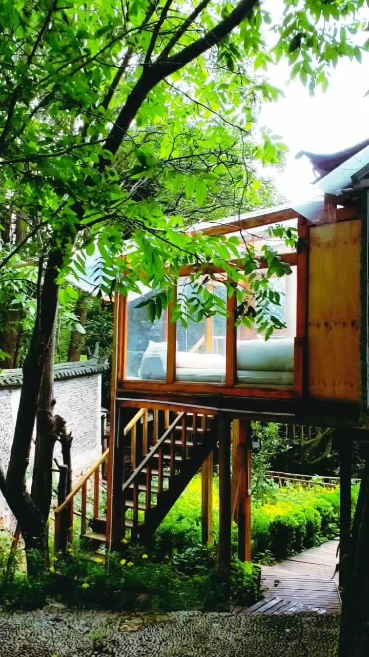 没有手机没有网络没有电视还有人住这吗