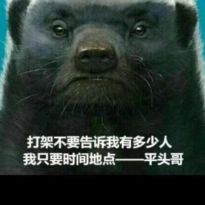 下水道南哥 