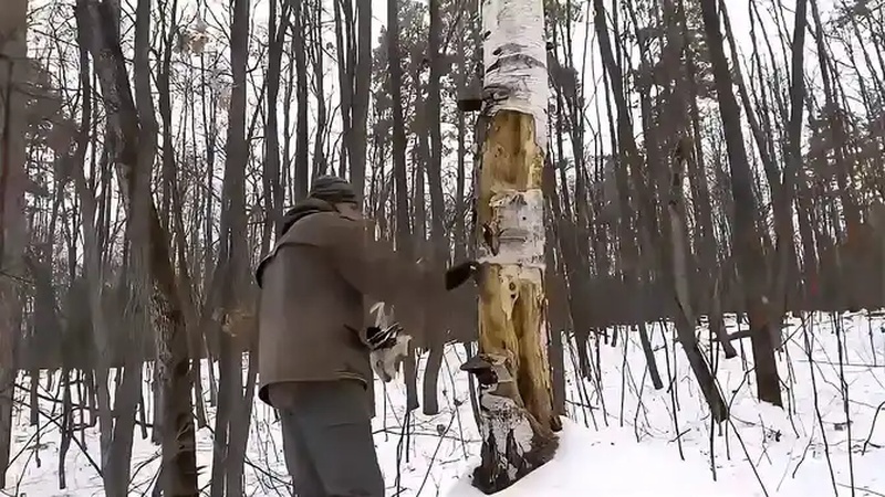 保鲜膜搭建的庇护所保温性就是强