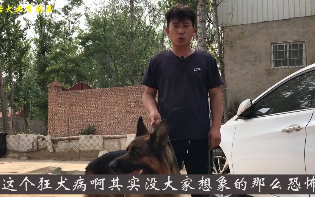 被狗咬了就一定要打狂犬疫苗.