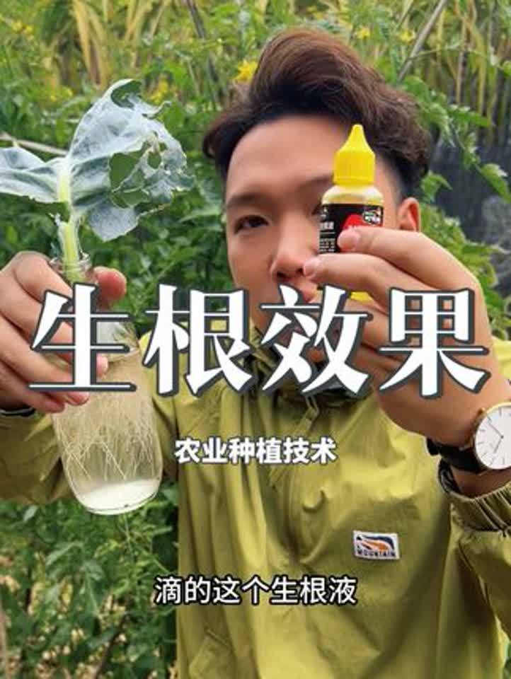 植物根系好,营养不会少!