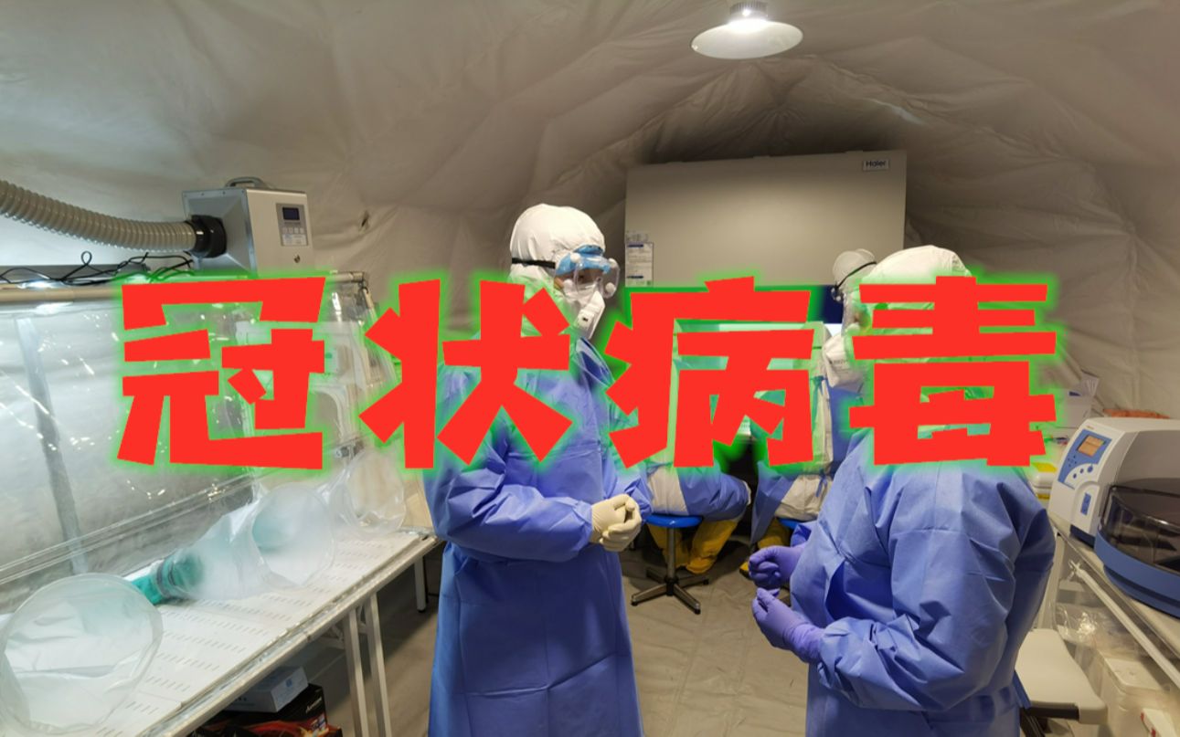 病毒传播的速度有多快呢?我们该如何应对这突如其来的病毒爆发?