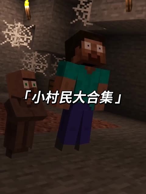 小村民大合集 #我的世界