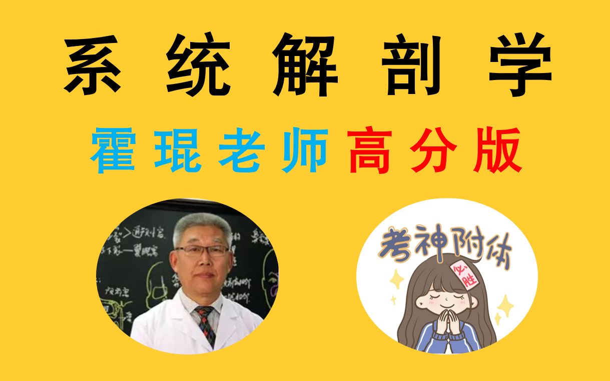 30.生殖系统-男性1